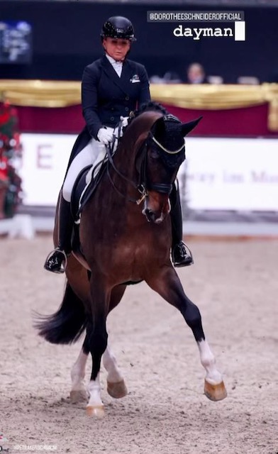 Dayman – das vierbeinige Powerpaket - Website Dressursport Kim