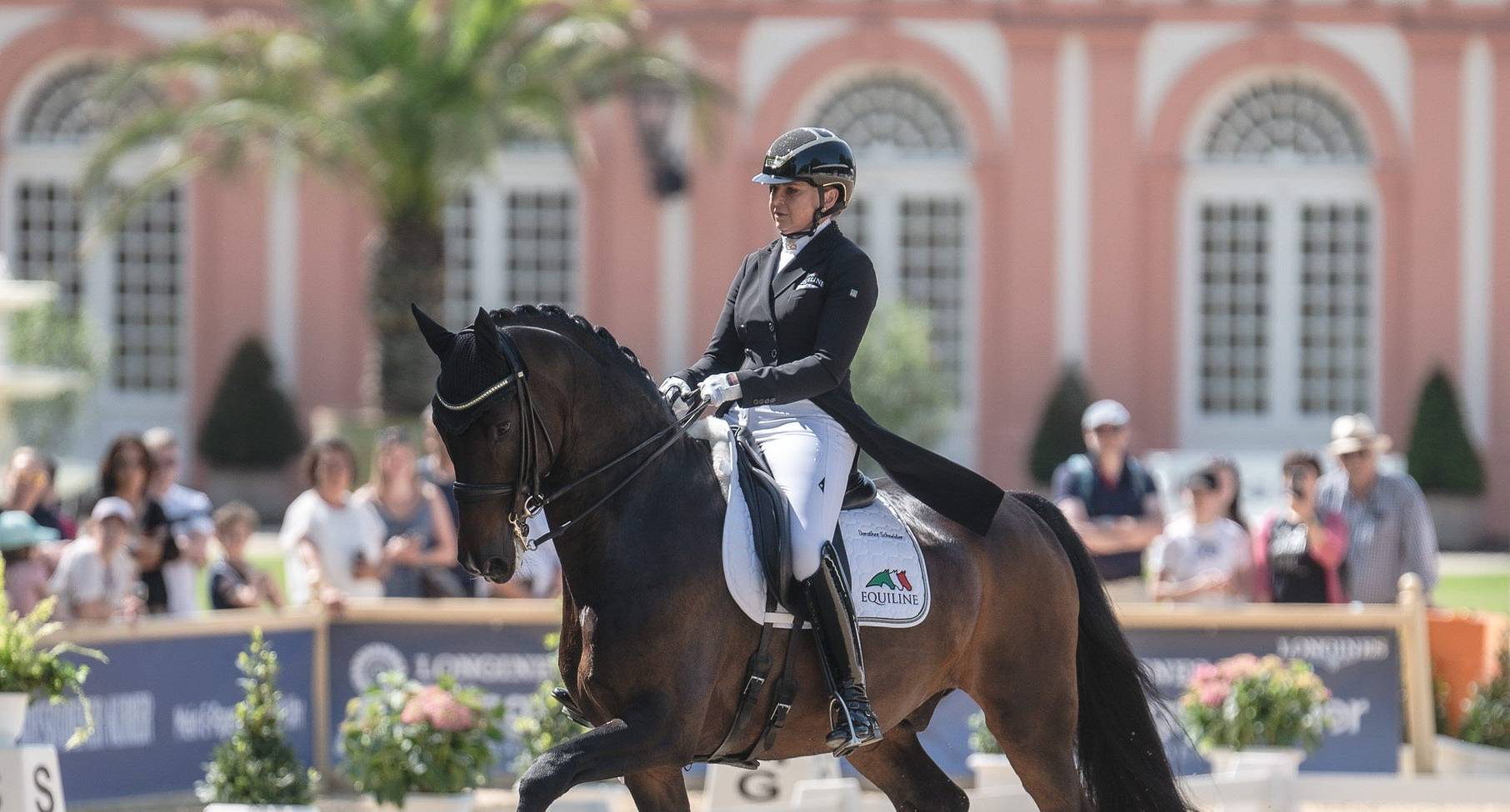 "Mein Herz sprudelt über…" - Website Dressursport Kim