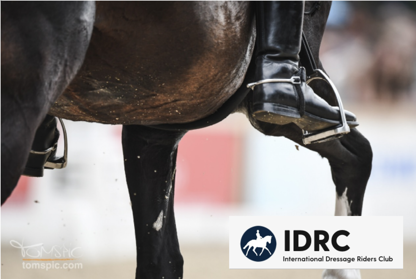 IDRC mit Idee zu neuer Fußnote - Website Dressursport Kim