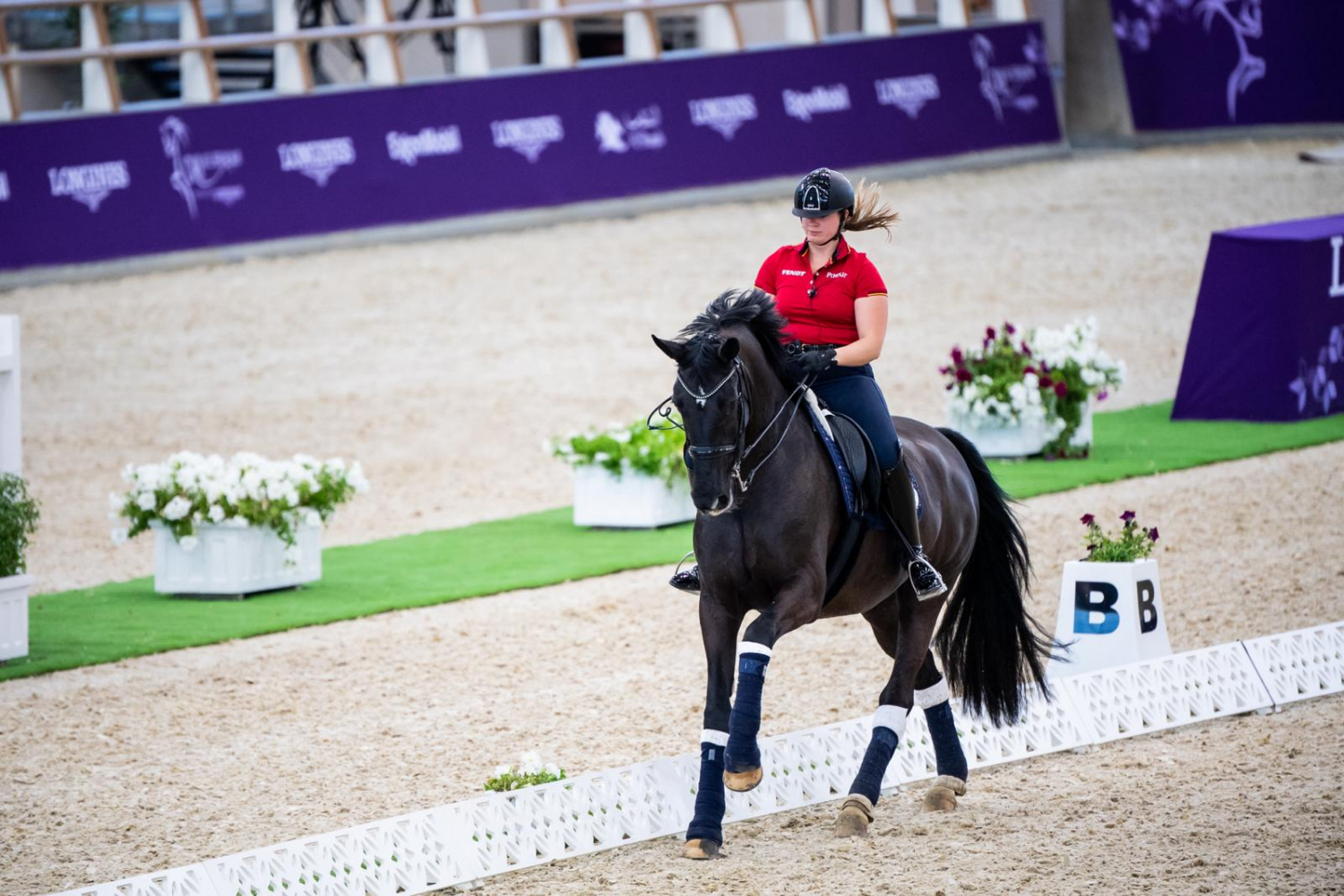 Hinters Dohas Kulissen – mit Evelyn Eger - Website Dressursport Kim