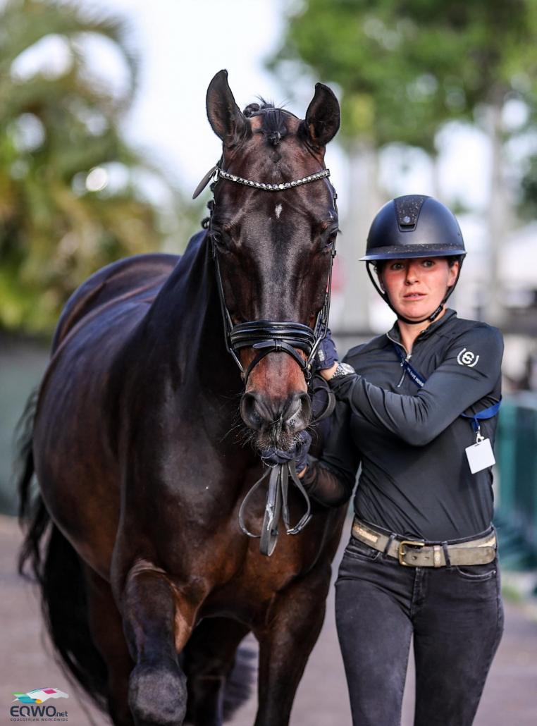 5*-Eindrücke aus Wellington - Website Dressursport Kim