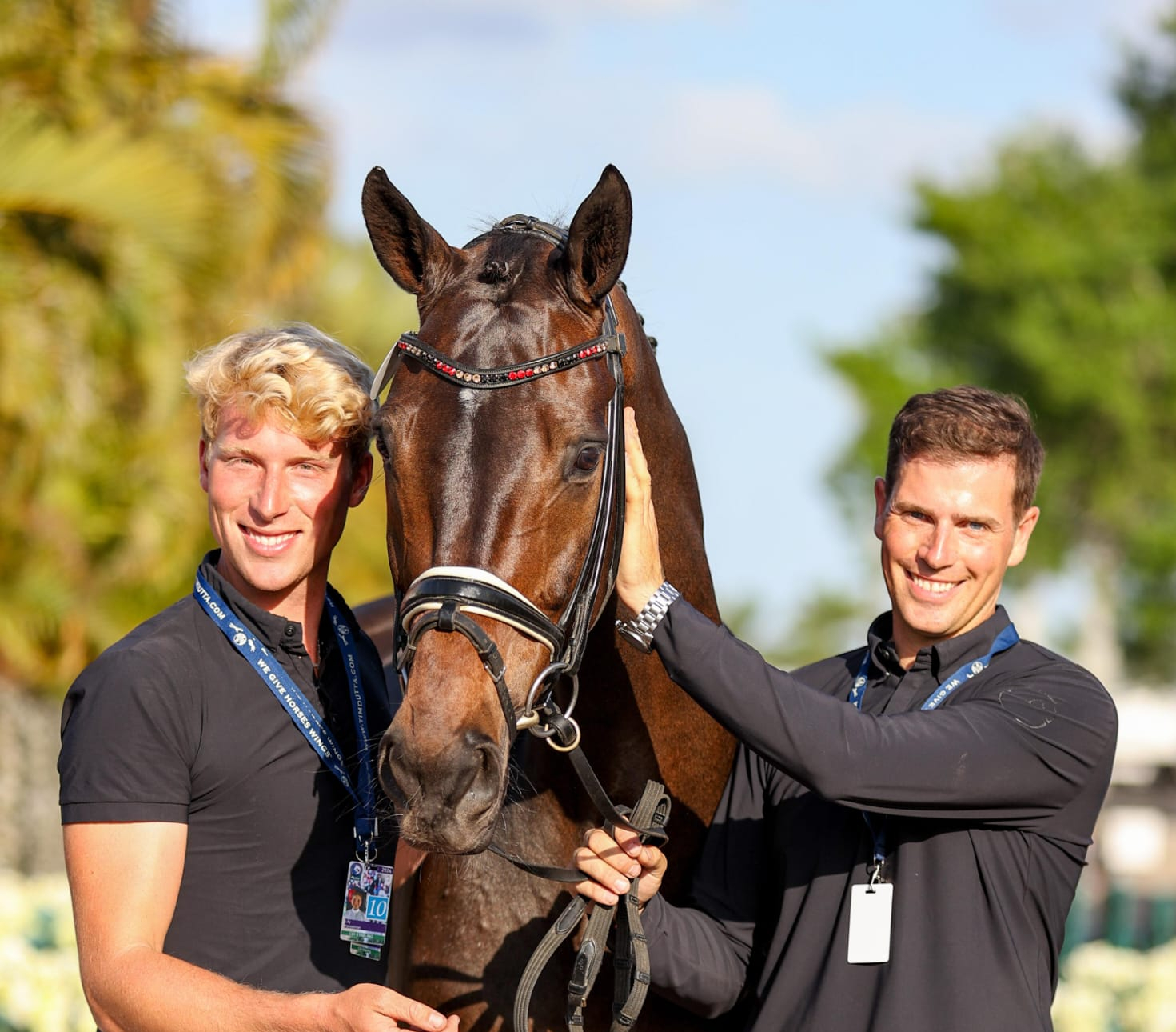 5*-Eindrücke aus Wellington - Website Dressursport Kim