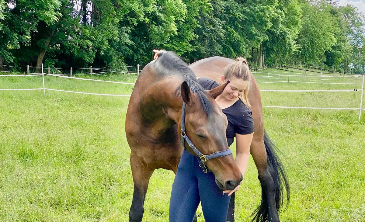 ‚Professor Westminster‘ genießt seine Rente - Website Dressursport Kim