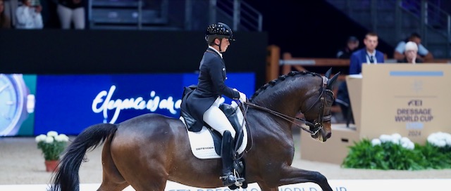 Lyon: Quantaz wächst über sich hinaus - Website Dressursport Kim