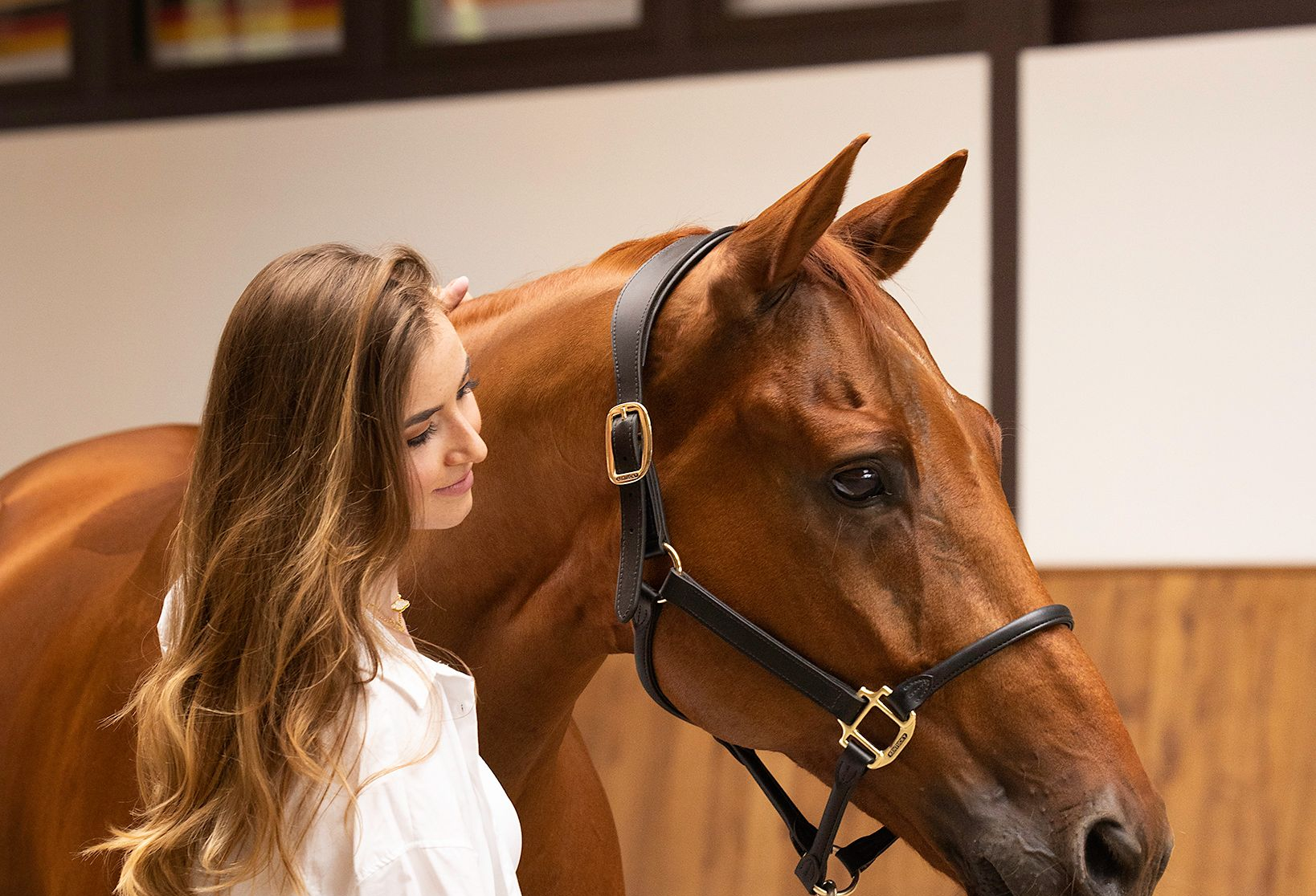 Home - Website Dressursport Kim