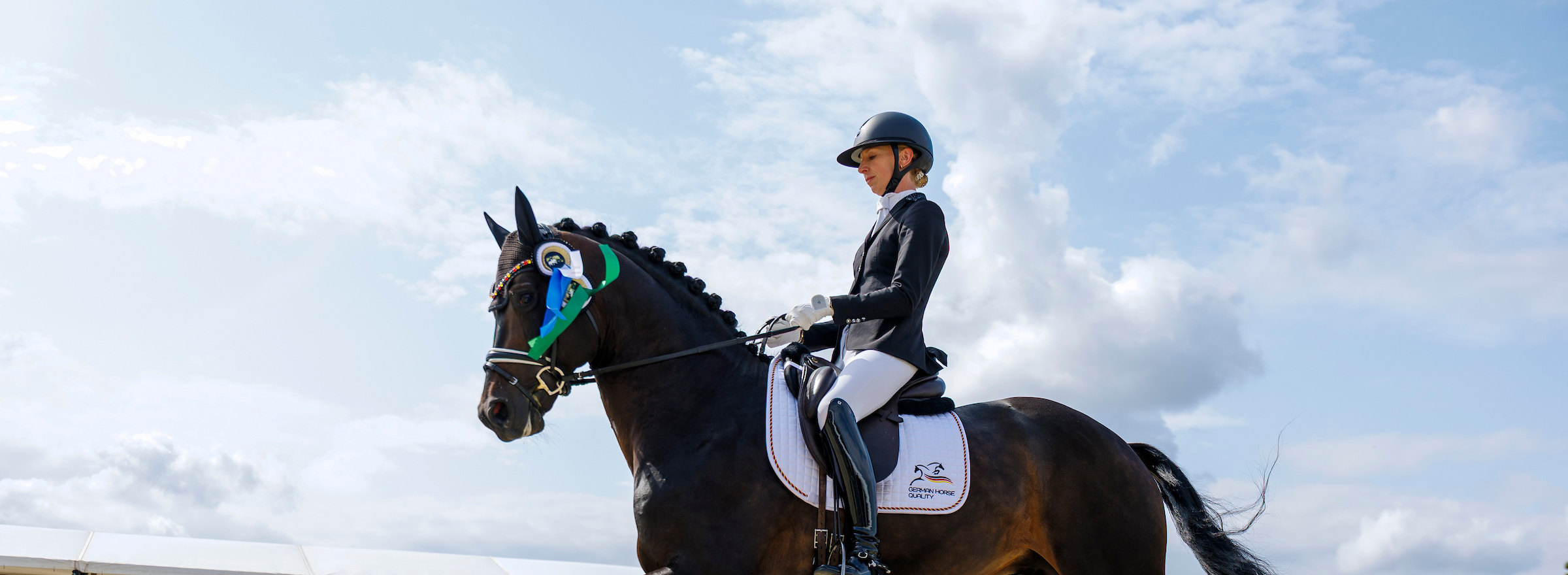 Greta Heemsoth – im Doppelpack ins WM-Finale - Website Dressursport Kim
