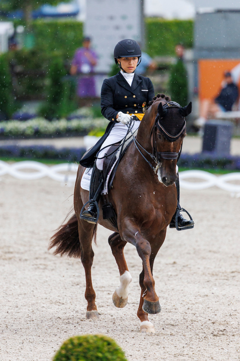 So schön können Generalproben sein… - Website Dressursport Kim